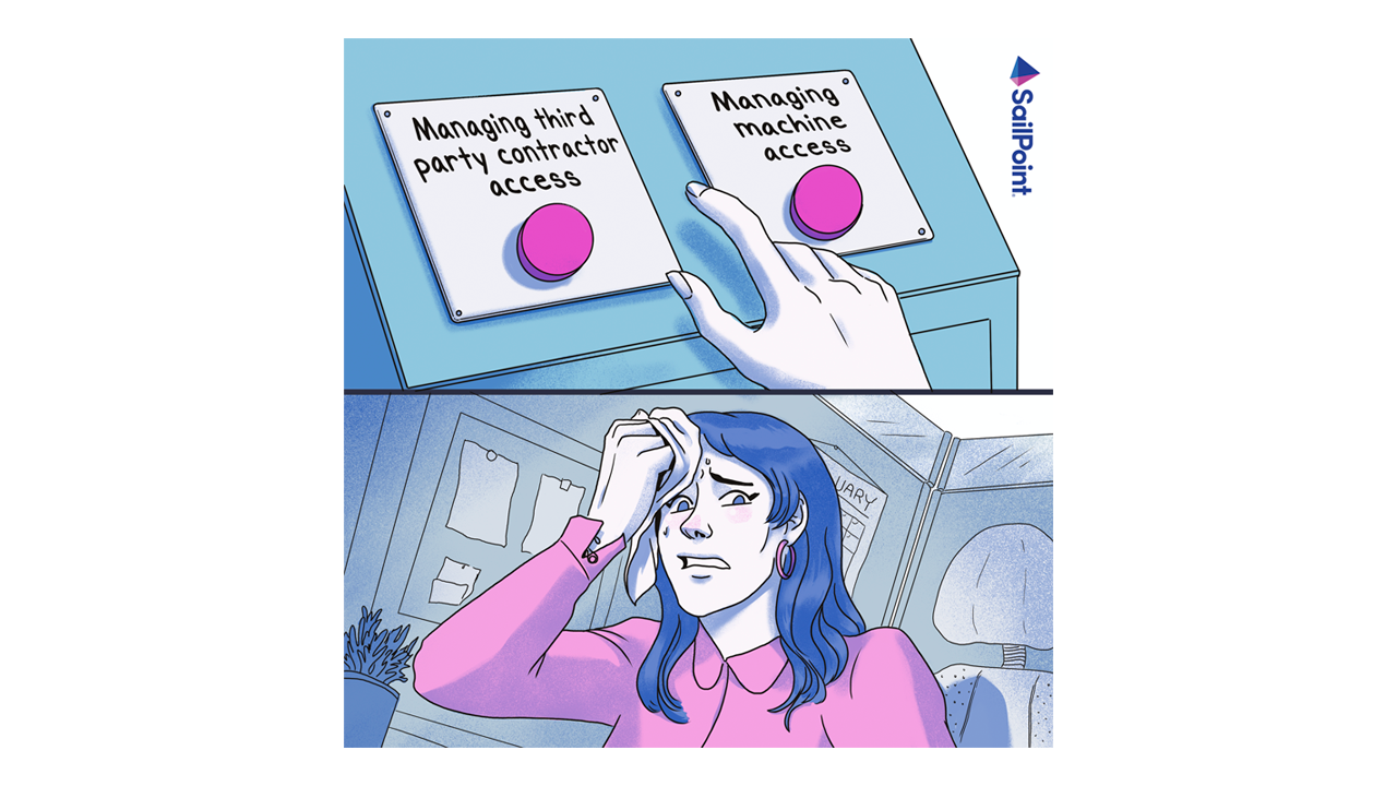 The evolution of identity: From seals to systems